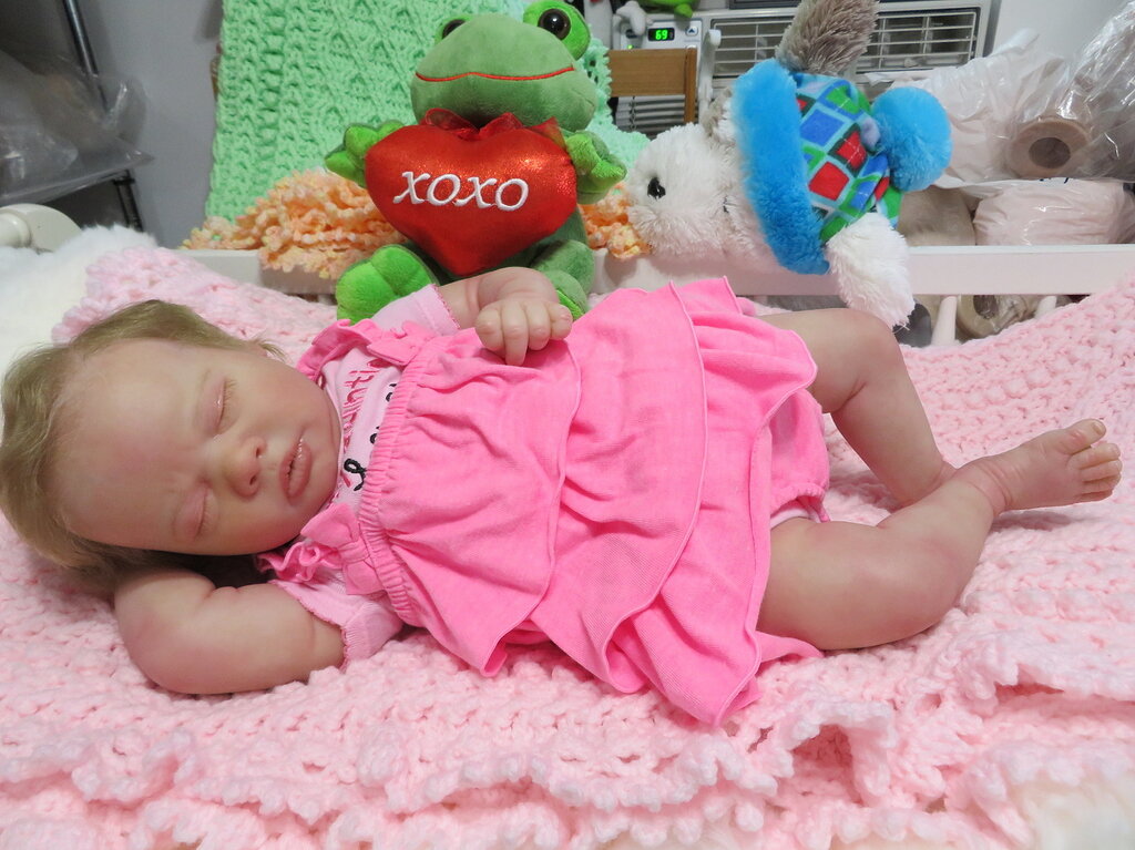 Reborn anna for valentines day - Baby Talk - Bountiful Baby Customer Forum