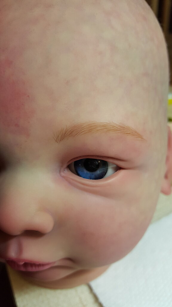 Eyebrows! - Baby Talk - Bountiful Baby Customer Forum