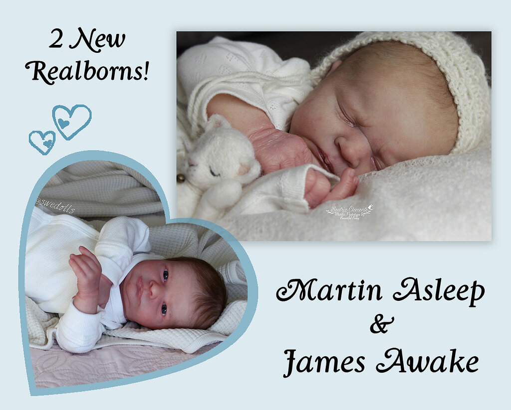 2 New Realborns! Introducing Martin Asleep and James Awake ...