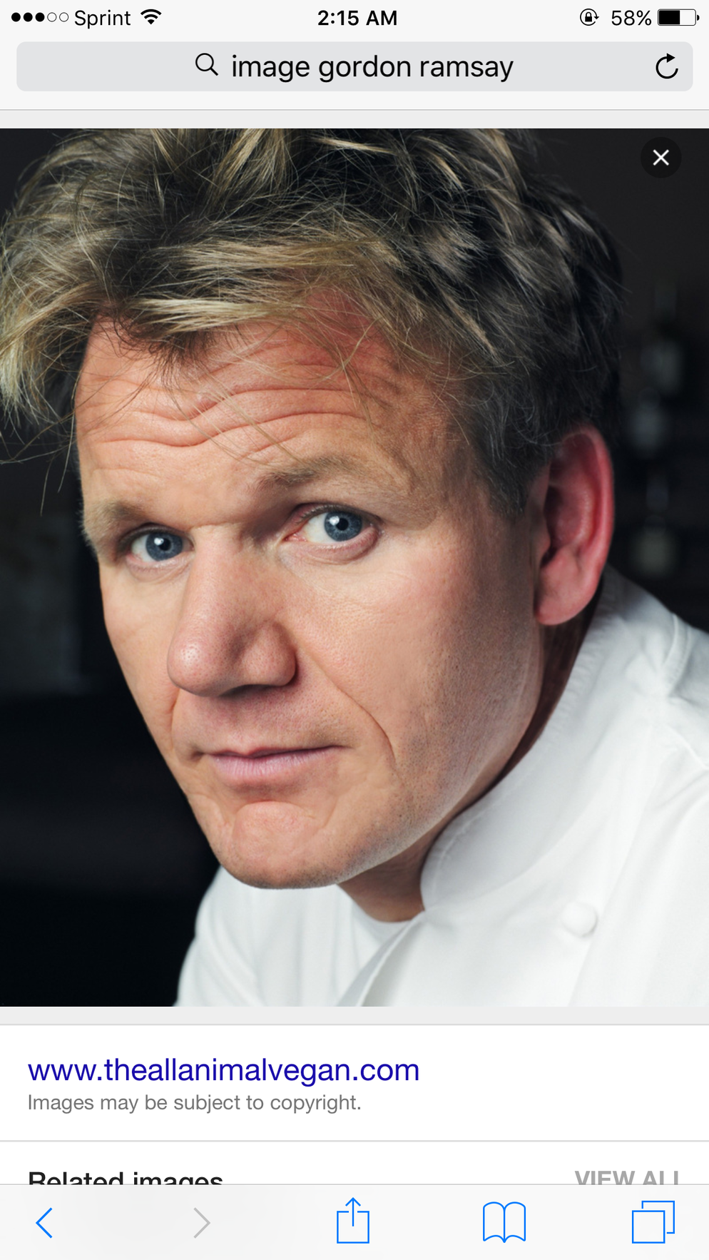 Nikolas aka baby Gordon Ramsey - Baby Talk - Bountiful Baby Customer Forum