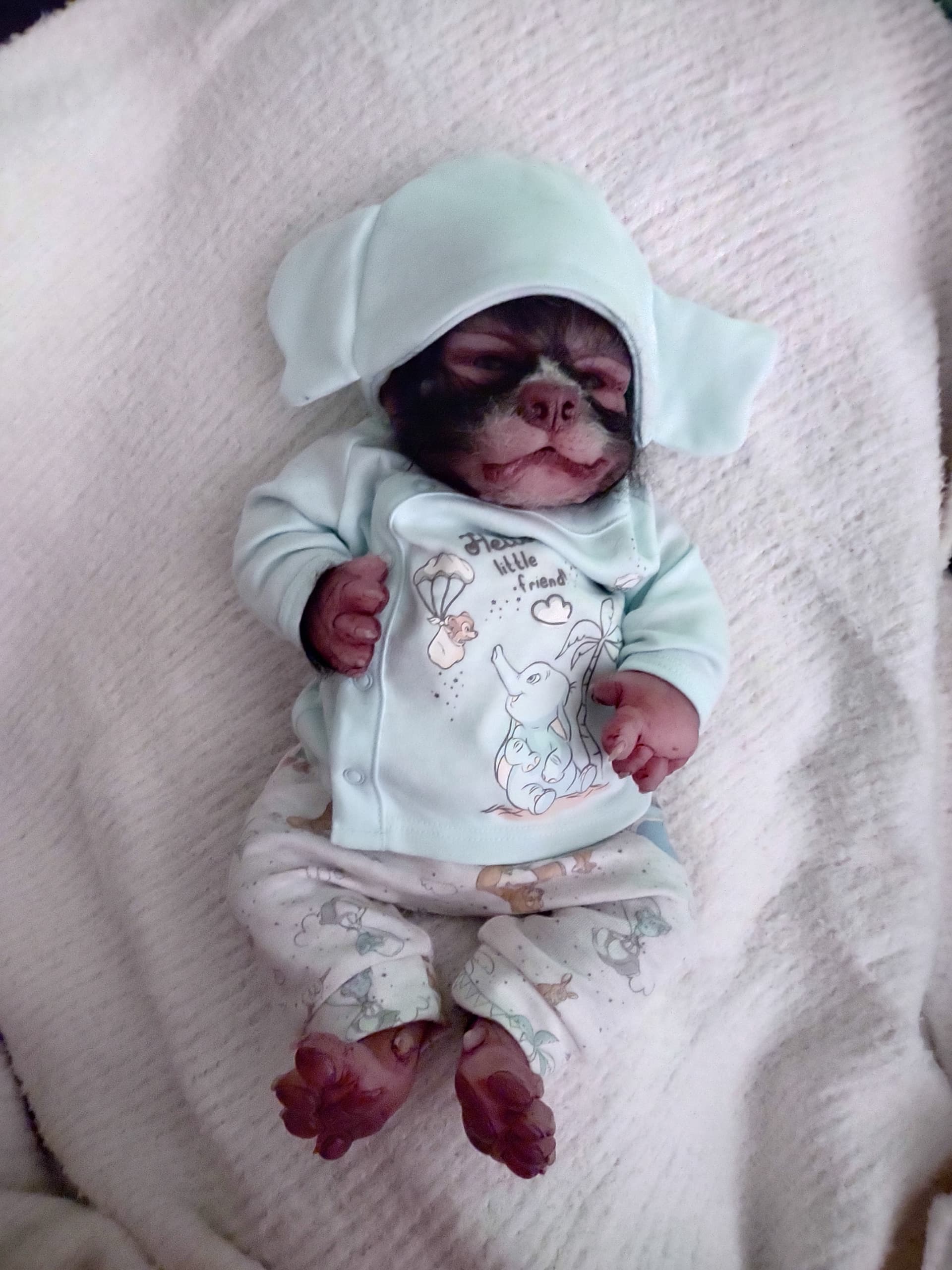 Bought a new outfit for my werepup - Baby Talk - Bountiful Baby ...