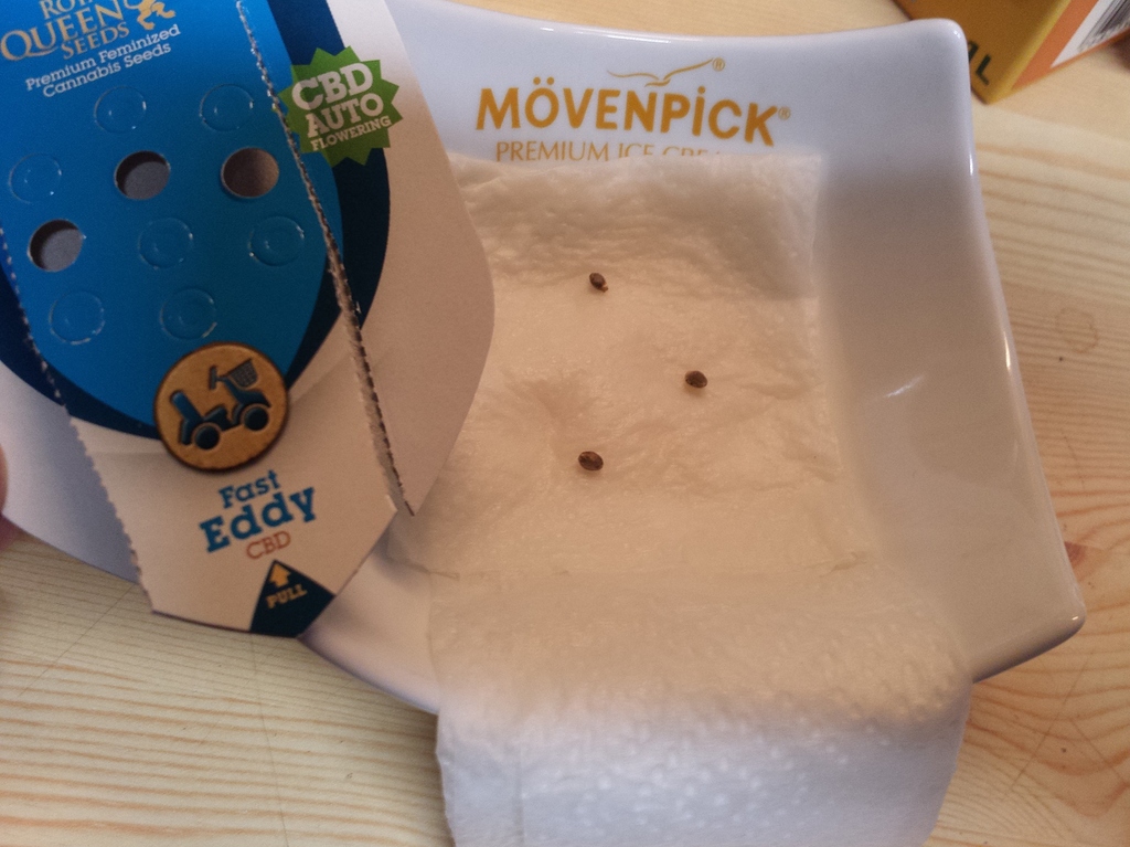 Dritter medizinischer Indoor Grow - Fast Eddy Automatic CBD ...