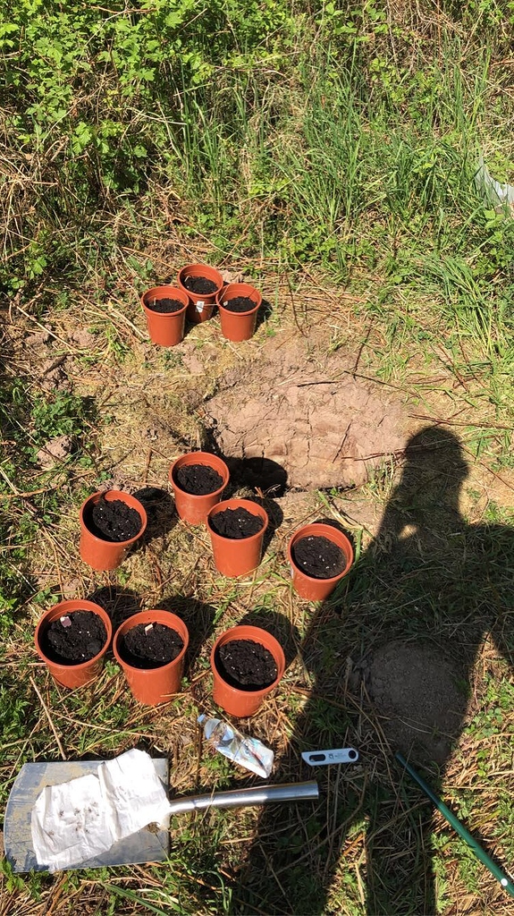 Outdoor Guerilla Grow 2020 | Outdoor Anzucht bis Ernte - Outdoor ...