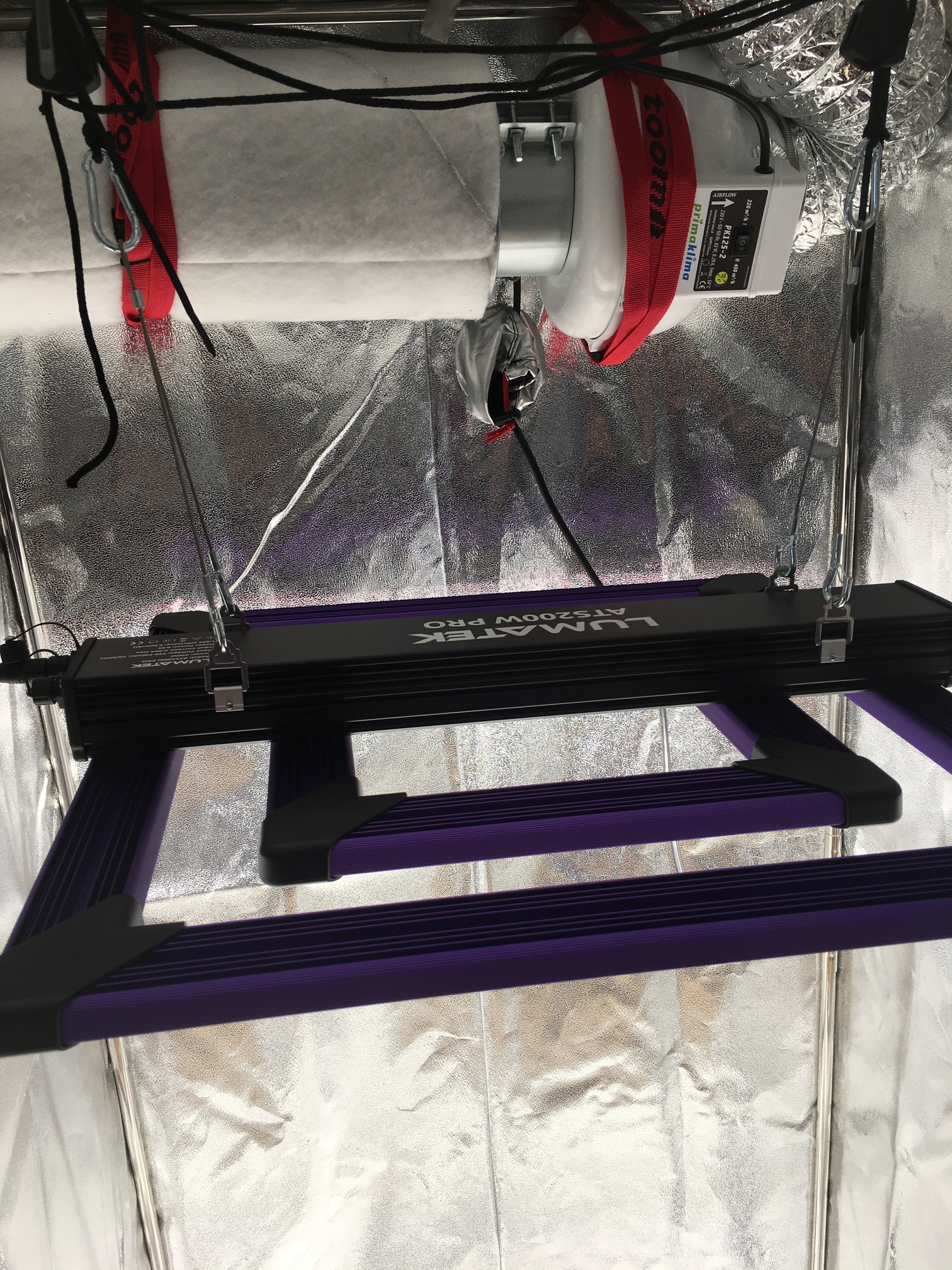 1# grow , Watermelon Auto und Quick one auto - Seite 5 - Anfänger ...