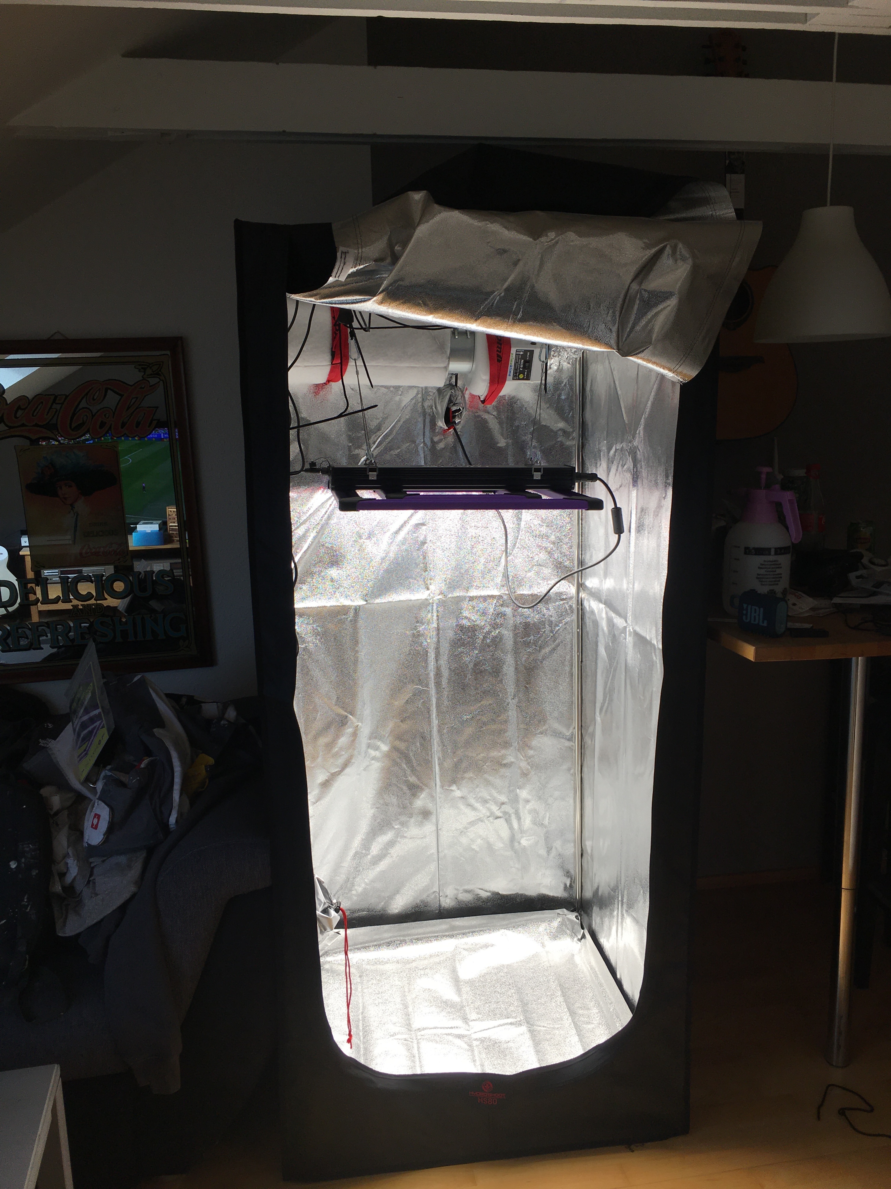 1# grow , Watermelon Auto und Quick one auto - Seite 5 - Anfänger ...