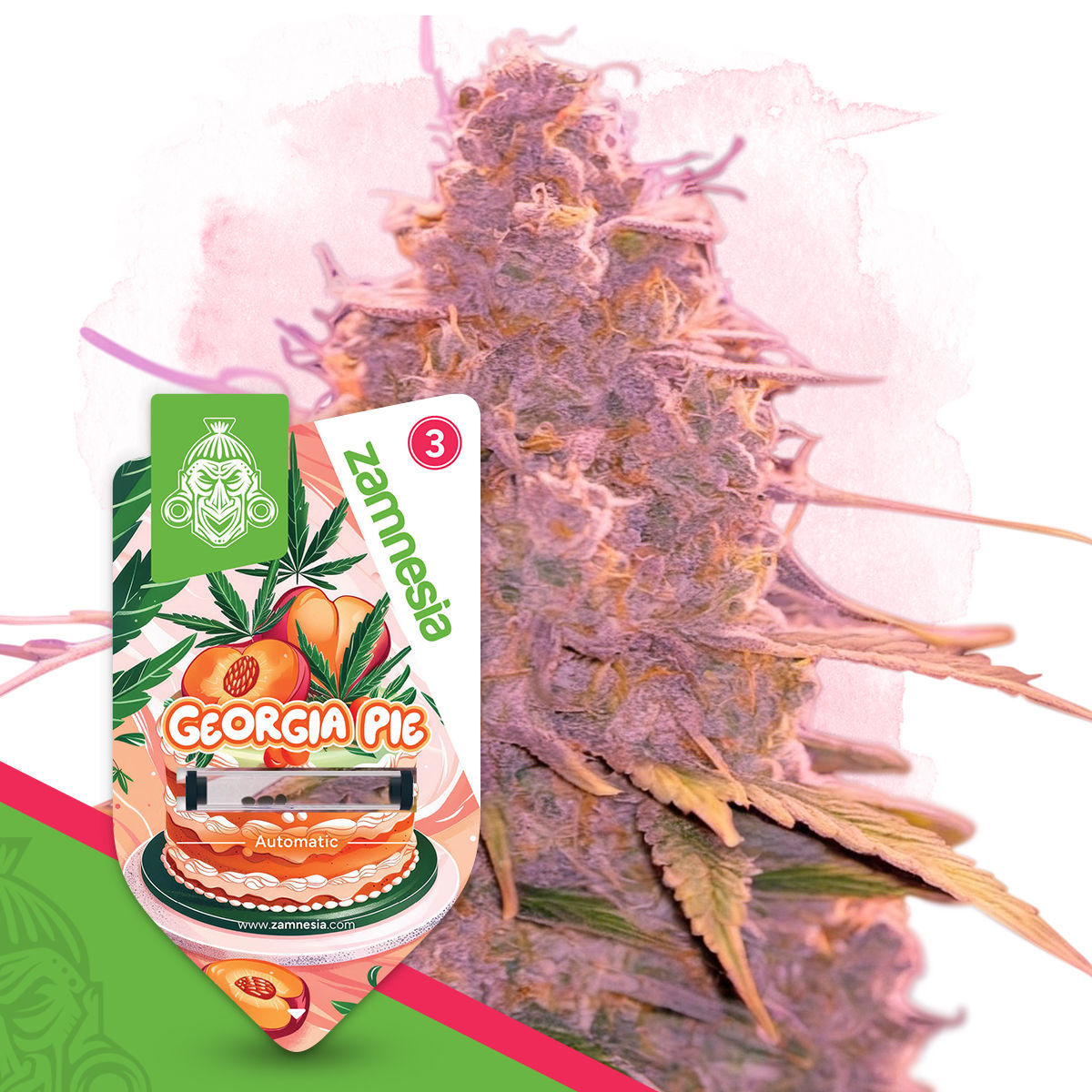 Kush Mints X Peach Ozz Feminisiert (Perfect Tree Seeds) - Samen ...