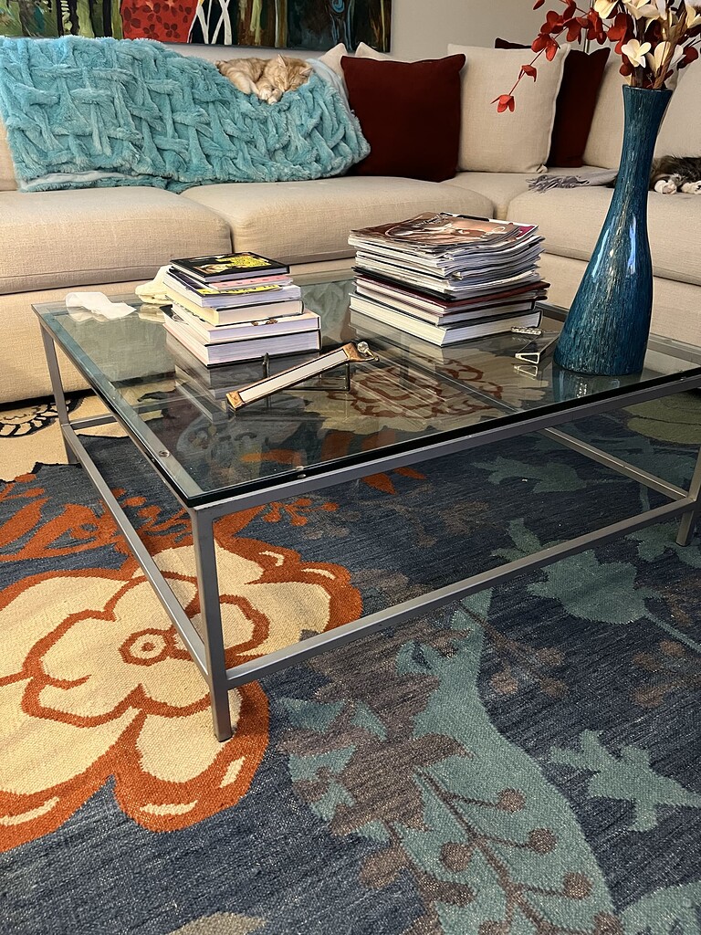 ZenXY for my 85 year old mom - Your Builds - V1 Engineering Forum